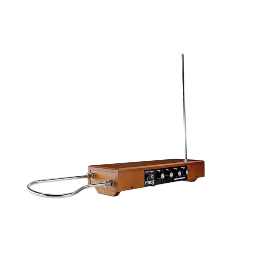 Theremins – Big City Music